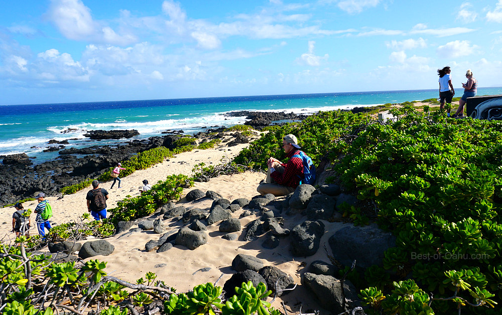 Kaena Point Trail - Hiking the Coast