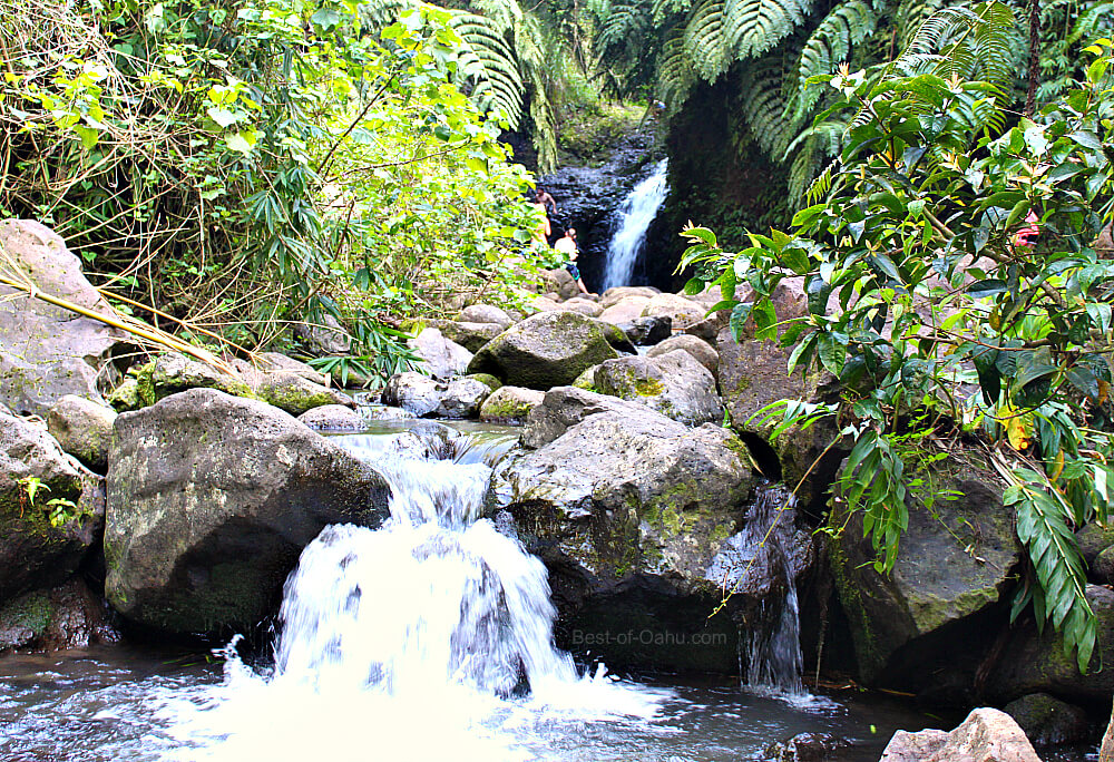Hiking Oahu Hawaii Waterfalls