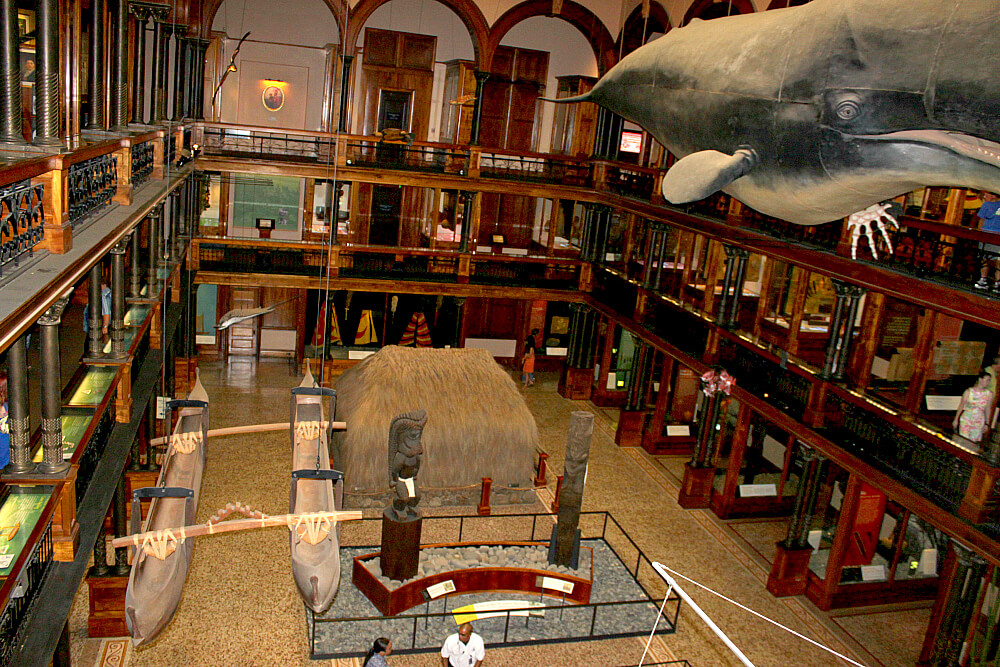 Discover the Bishop Museum