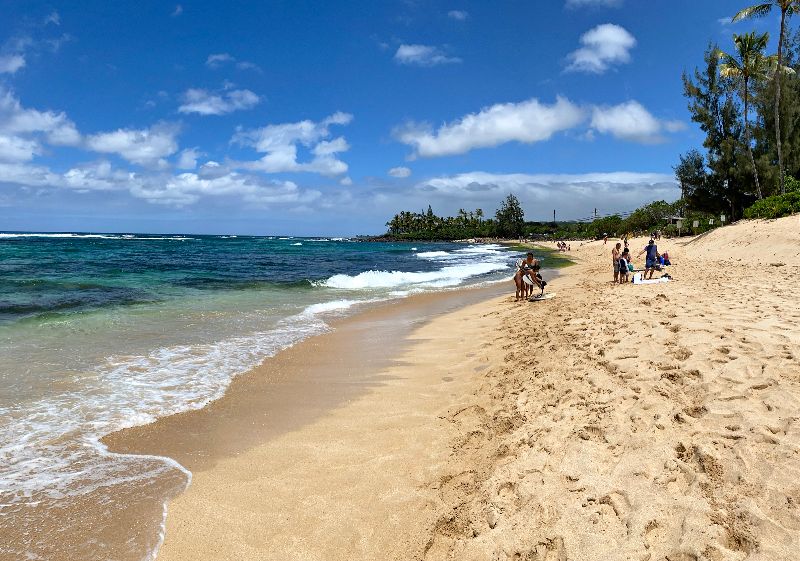 Laniakea Beach - Better Known as Turtle Beach on the North Shore