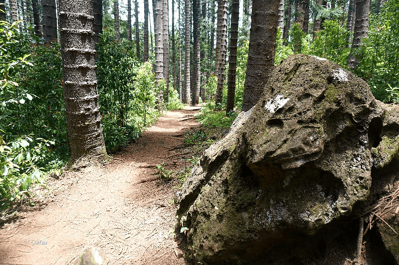Judd Trail & Jackass Ginger Pool