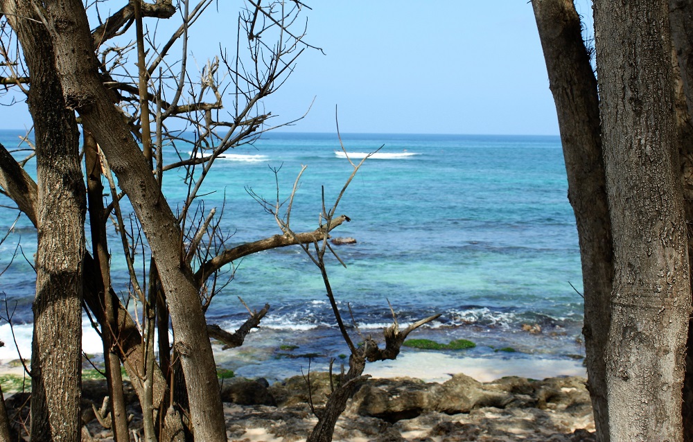 Laniakea Beach - Better Known as Turtle Beach on the North Shore