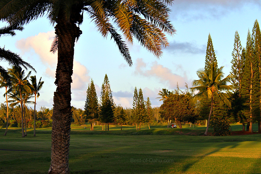 Top 11 Oahu Golf Courses